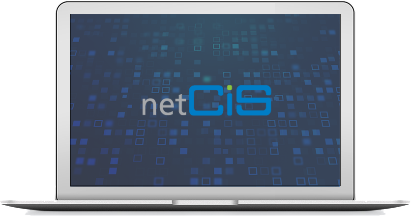 Digitisation of Business Processes - MCi